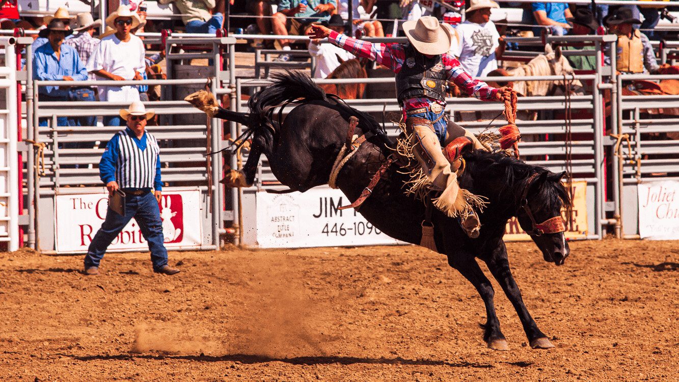 Things to do - Roam Cody Yellowstone
